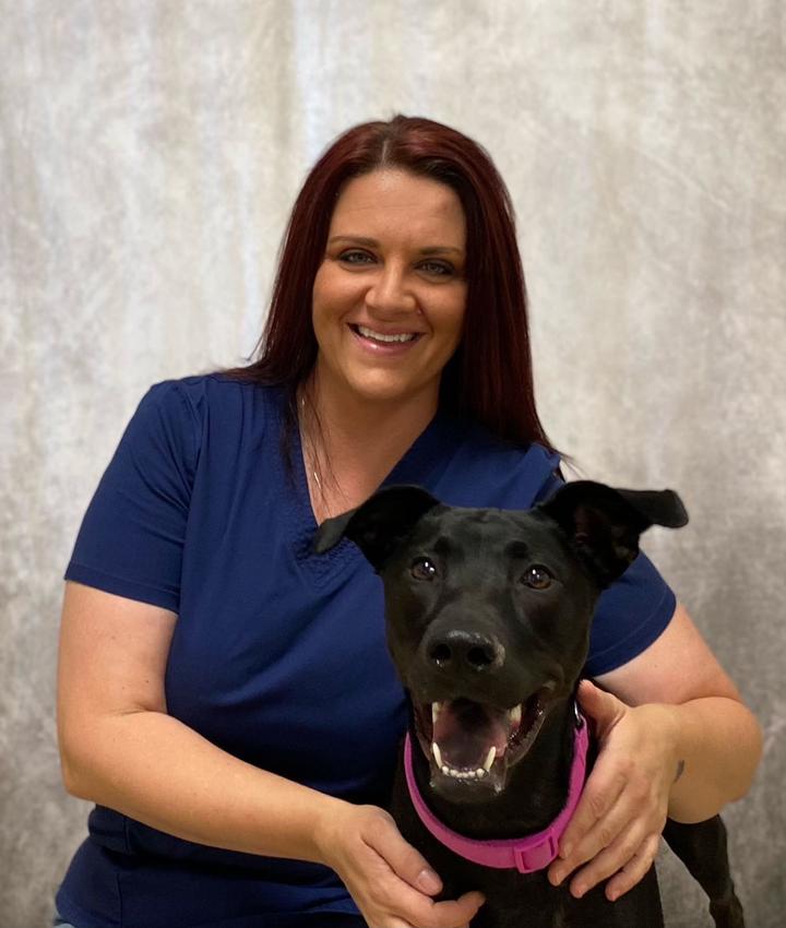 Experienced Veterinarians | Animal Hospital in Saint Louis